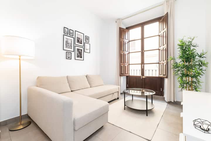 Apartamento Céntrico Y Luminoso - Granada