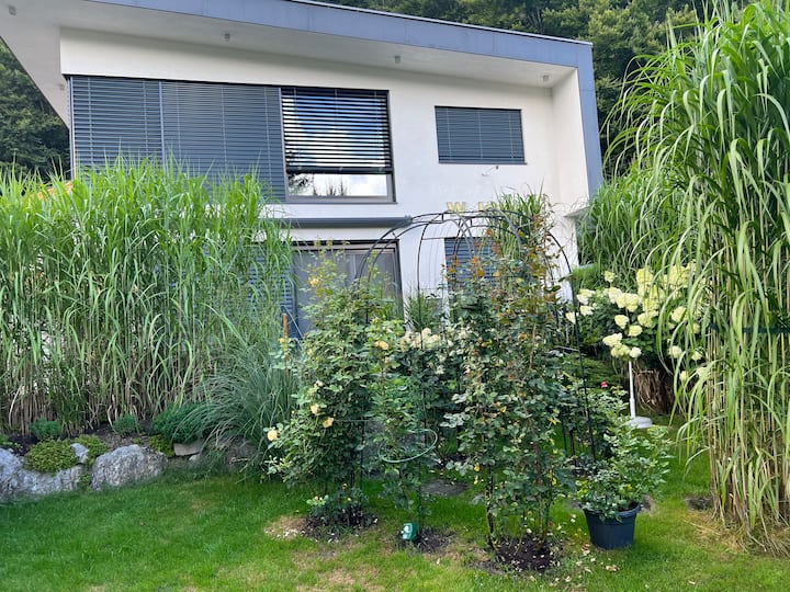 Apartment Kitzbüheler Horn - Kitzbühel