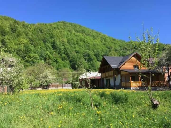 Casa Nova - Vișeu de Sus