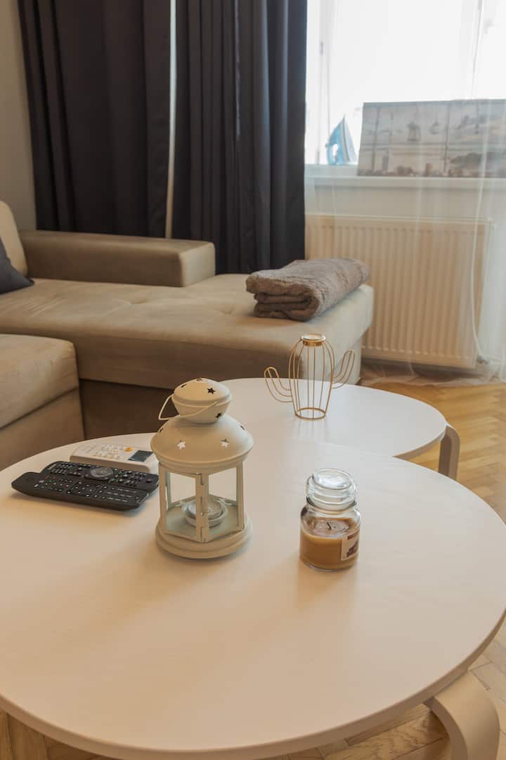 Flame And Cozy Downtown Apartment Calea Victoriei - Bukarest