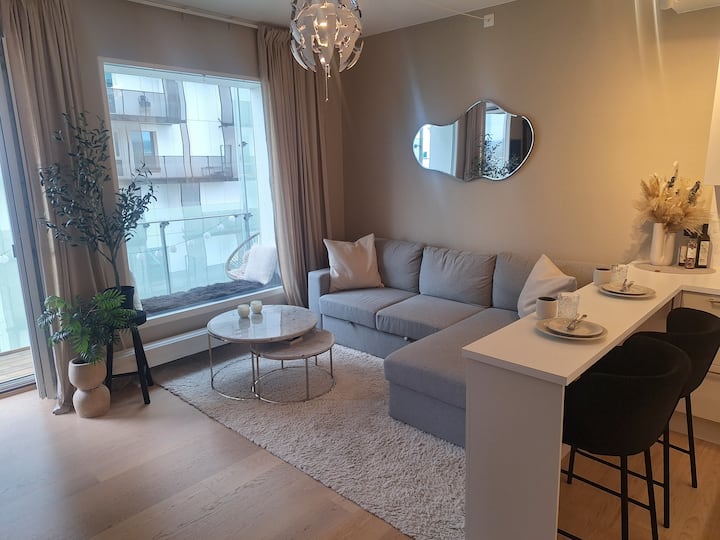 Super Central Premium Apartment - Oslo