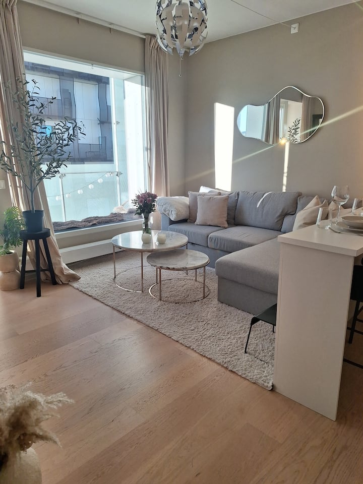Super Central Premium Apartment - Oslo