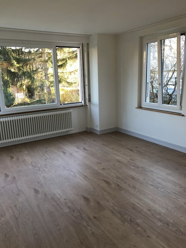 Bright Renovated Flat On Ground Floor Of A House - Thun