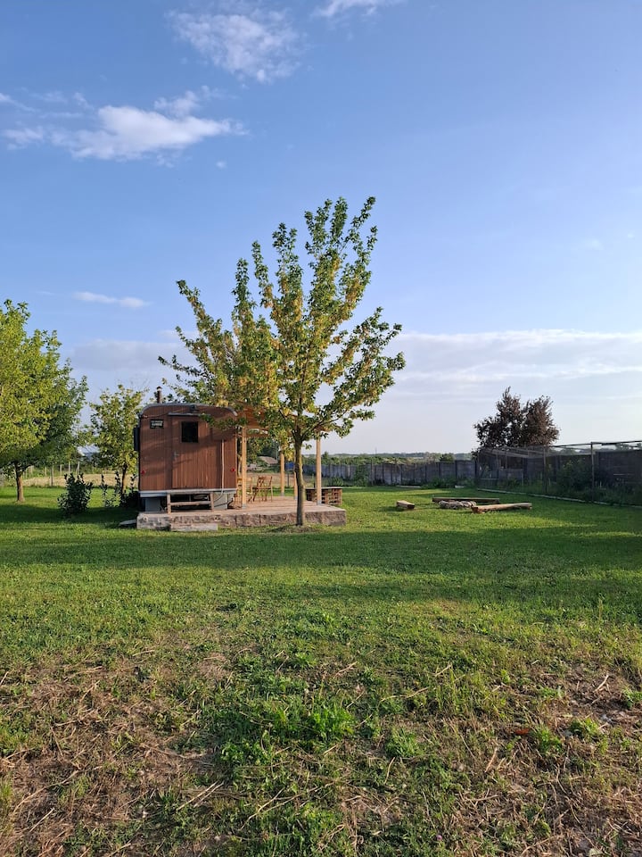 Maringotka Pri Vinárstve - Pezinok