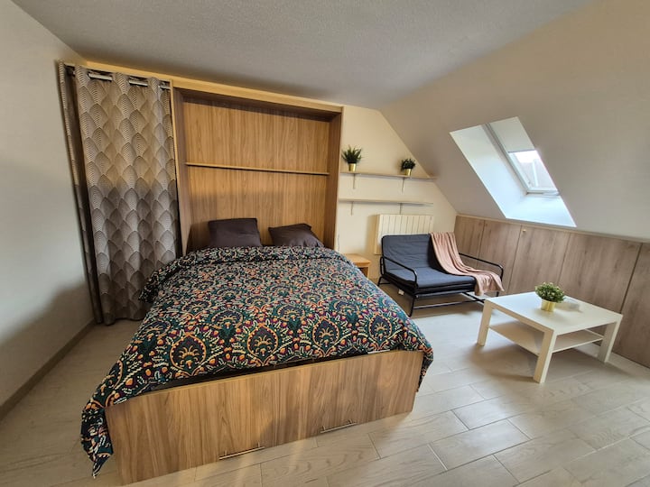 Le Confortable Studio Près De Tout : A6/paris/orly - ibis Styles Antony Paris Sud