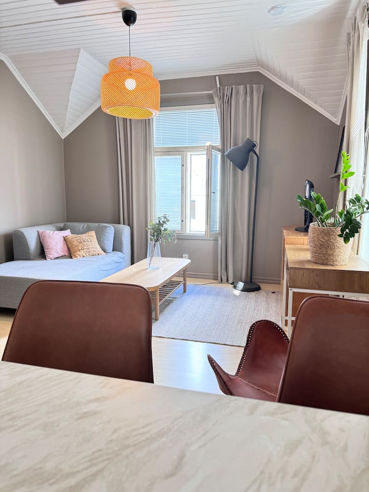 Kaksio 46m2 Keskustan Lähellä, Ilmainen Pysäköinti - Vaasa