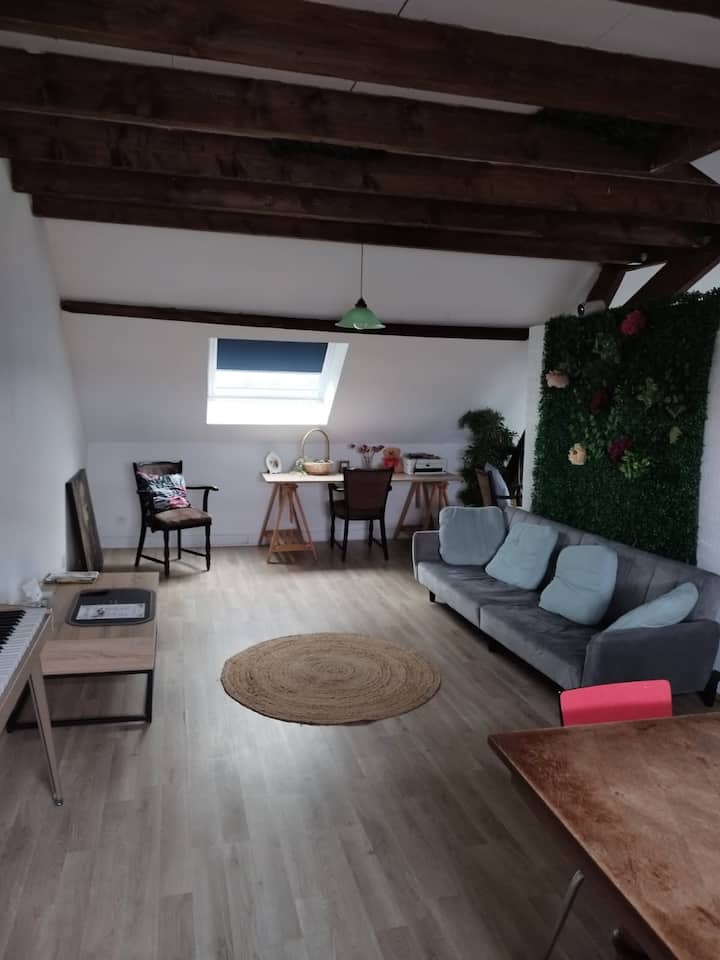 Jolie T1 Bis - Saint-Amand-les-Eaux