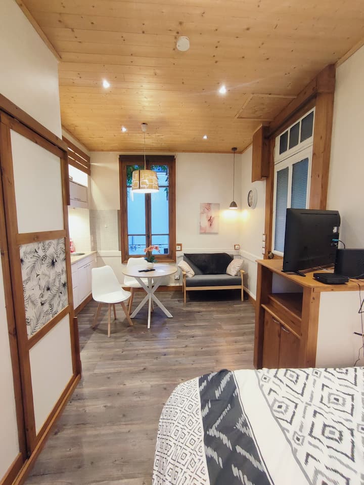 Charmant Studio, Proche Des Grands Axes - Roanne