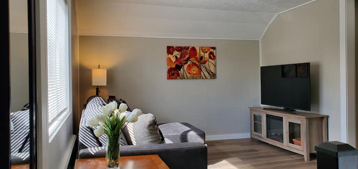 Cozy & Fully Remodeled 1-bedroom Retreat - Winona, MN