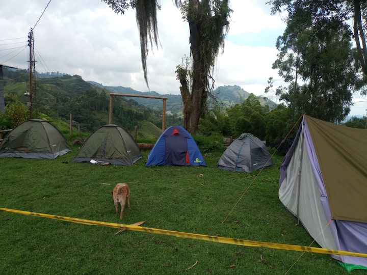 Bosque Y Camping Las Hamacas - Manizales