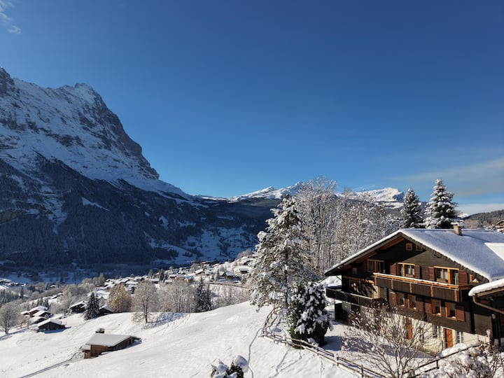 Chalet Felsenegg Apartment - Grindelwald
