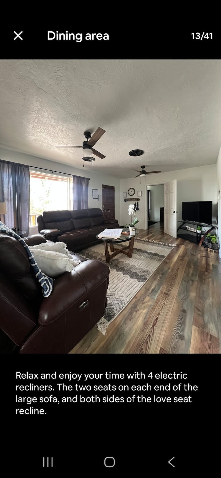 The Cats Meow - Farmington, NM