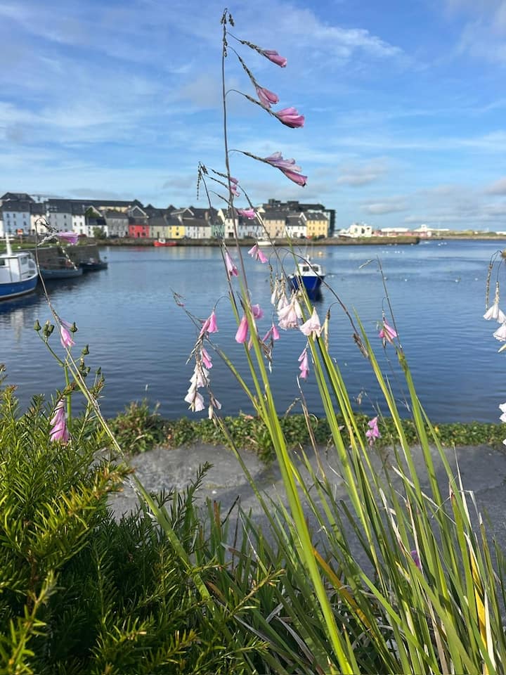 Townhouse In The Heart Of Galway City - Galway