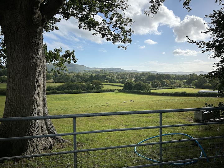 Great Village Location Beside The South Downs - Brighton and Hove