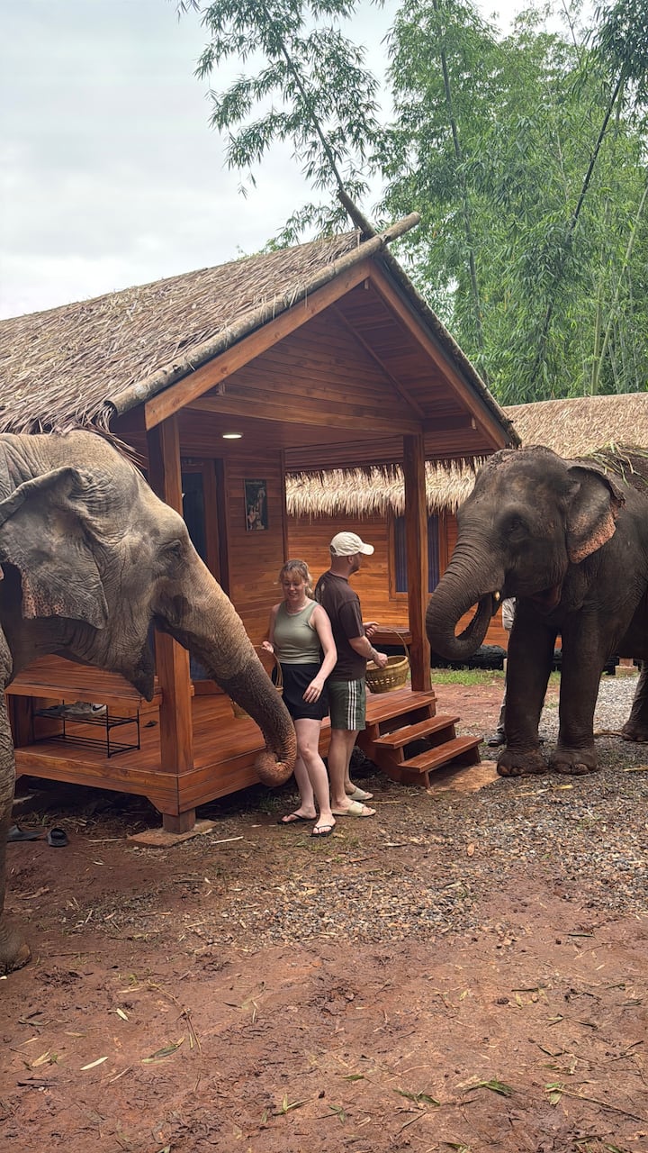 Chiang Mai : Good Morning Elephant With Homestay - Chiang Mai