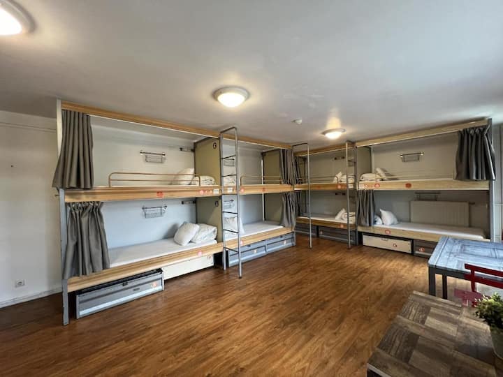 1 Bed In A Shared Mixed Dorm Of 10 - Paris