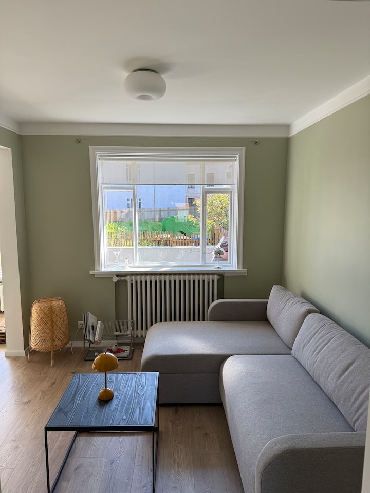 Excellent Location. Heart Of Reykjavík. - Reikiavik