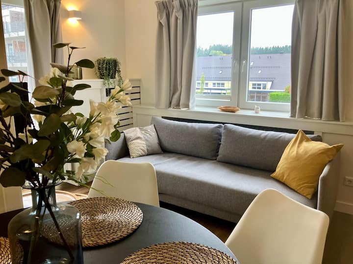 1-room Apartment With Balcony (No. 1.4) - Winterberg
