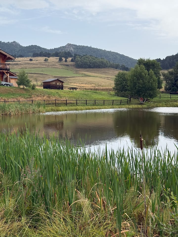 Appartement Cosy Face Au Lac - Puyvalador