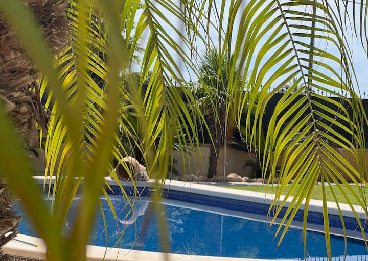 Mini Casa De Invitados En Un Oasis De Palmeras - Elche
