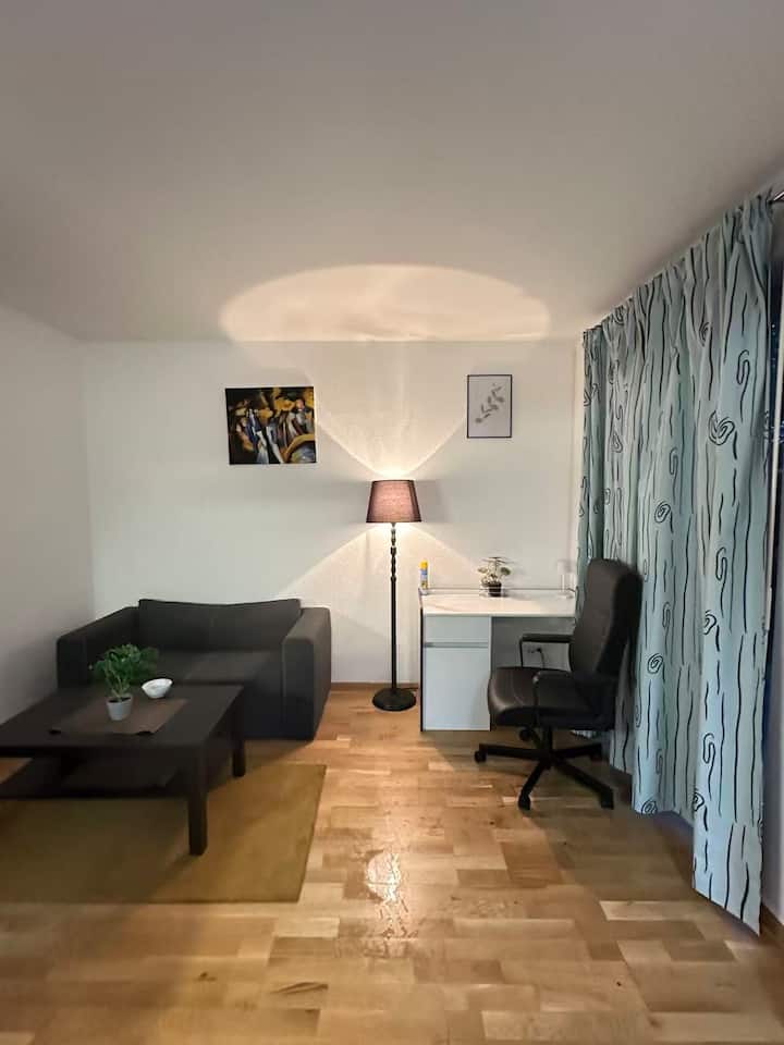 Spacious & Cozy Apartment Near City Center - Jestetten