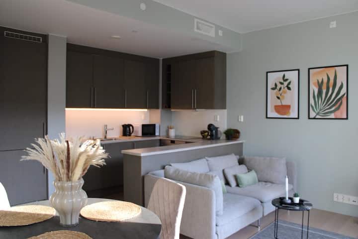 Modern, Well-equipped Apartment In Central Oslo - Oslo