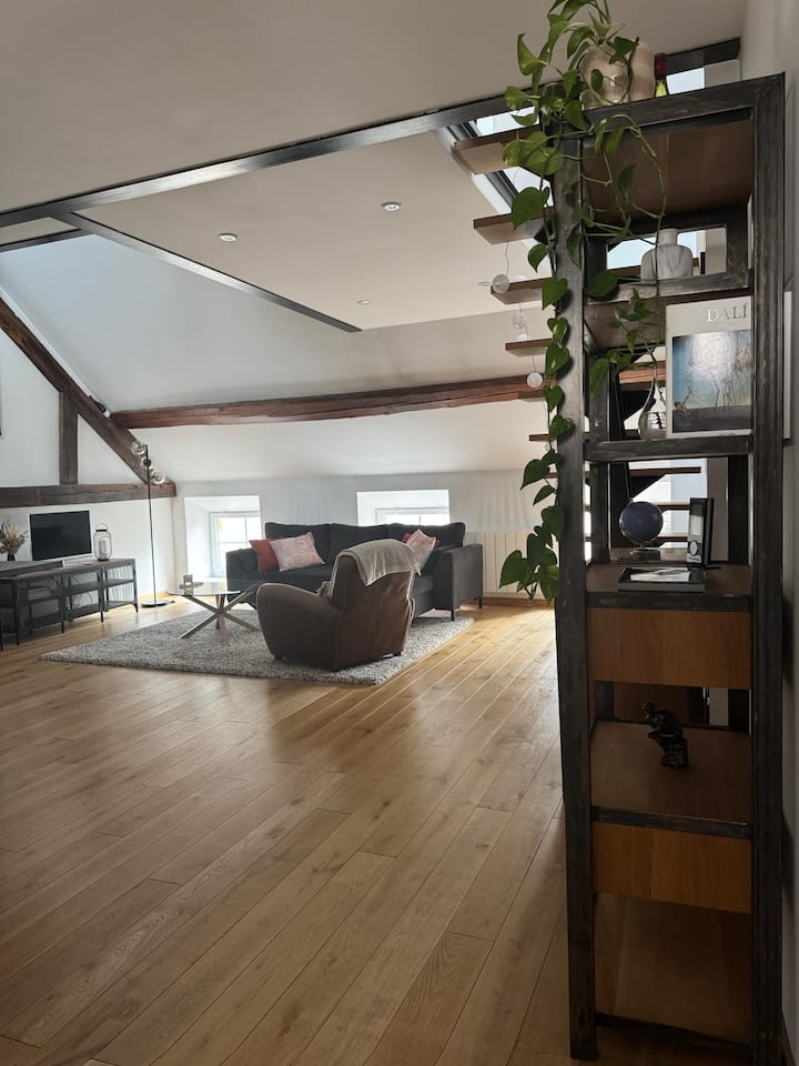 Charmant Duplex Au Cœur De Beaune - Beaune