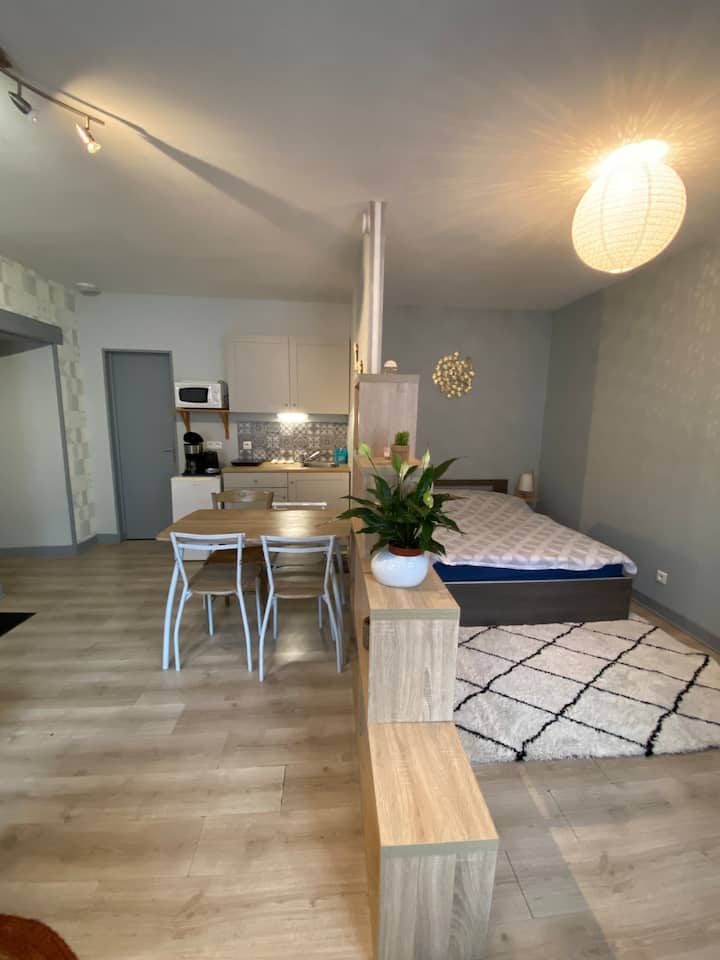 Studio 4 Pers Bar Sur Aube, 10 Min Nigloland - Bar-sur-Aube