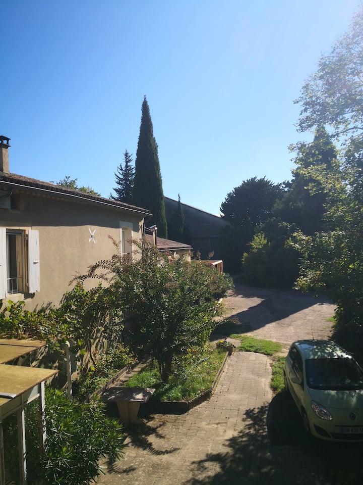 La Tortue De Valaurie - Valaurie