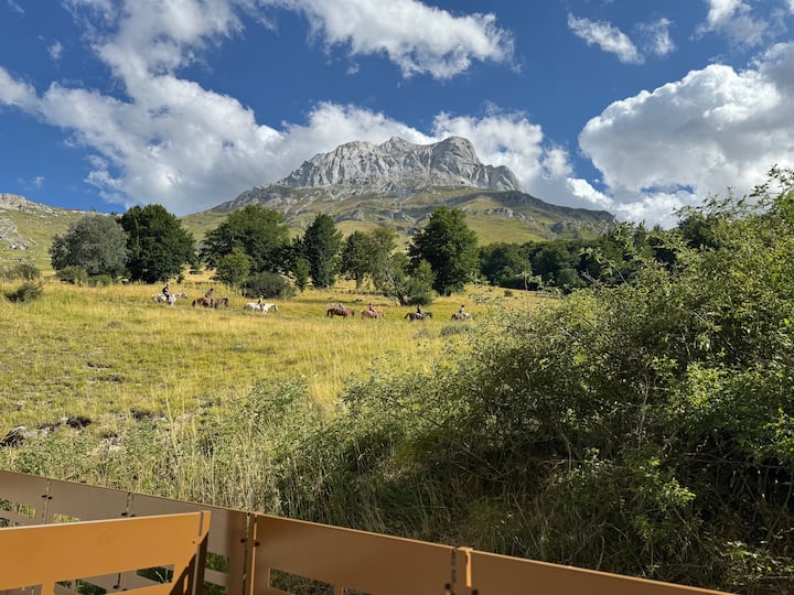 Nido Gran Sasso - Prati di Tivo