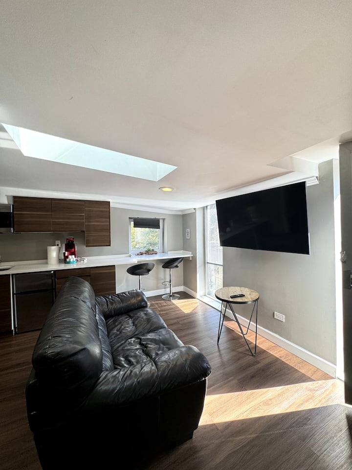 Comfortable & Modern Studio In City Center - Chicago, IL