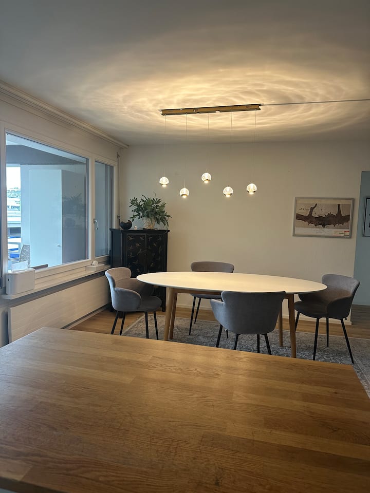 Zentral Gelegene Oase In Der Stadt - Zurich, Switzerland