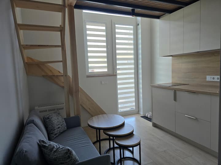 A&a Apartment Vilnius - Vilnius