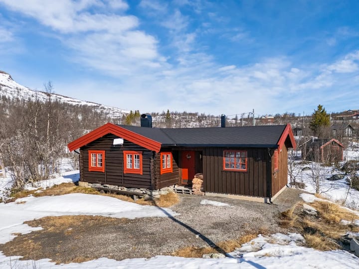 Velkommen Til Bekkestua I Uvdal - Norvège