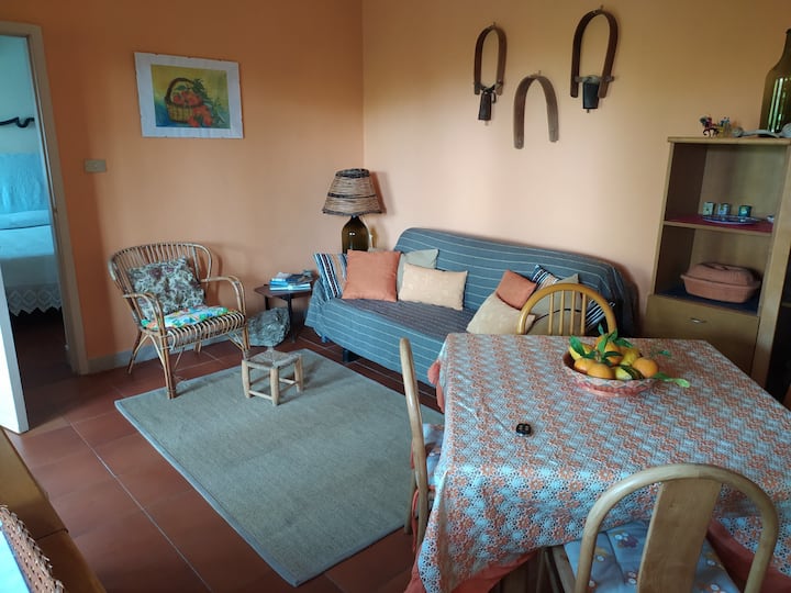 Appartamento Con Giardino Fronte Mare Tirreno - Messina