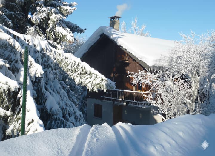 Chalet Le Mélèze | Pied Des Pistes | 14 Personnes - La Rochette