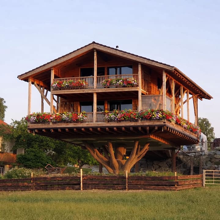Deutschlands Größtes Baumhaus –Auf Der Alpakaweide - Cham