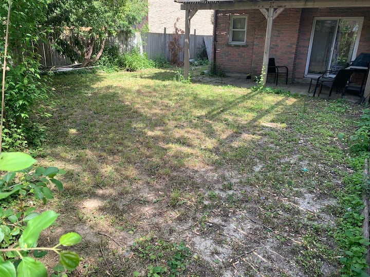 Ground Floor Pad In Thornhill - Vaughan