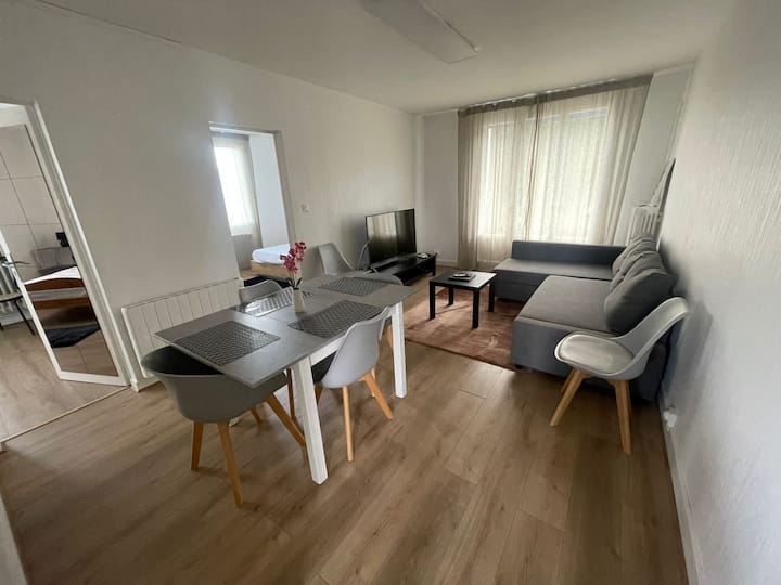Grand Appart 3 Ch. • Idéal Famille + Parking - Tours