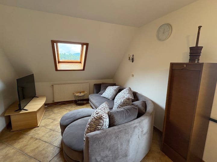 Cottage For 2, Alsace, History, Walking, Pets Wifi - Colroy-la-Roche