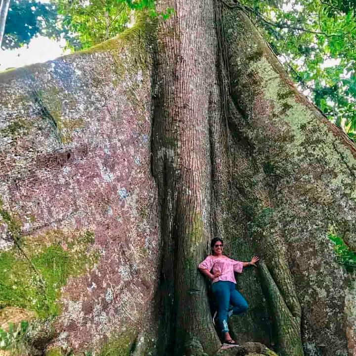 Iquitos: Isla De Los Monos Full Days Anacondas. - Aguas Calientes