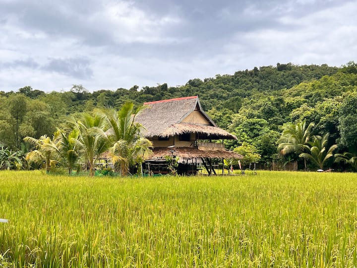 Elsie's Farmhouse - Philippines
