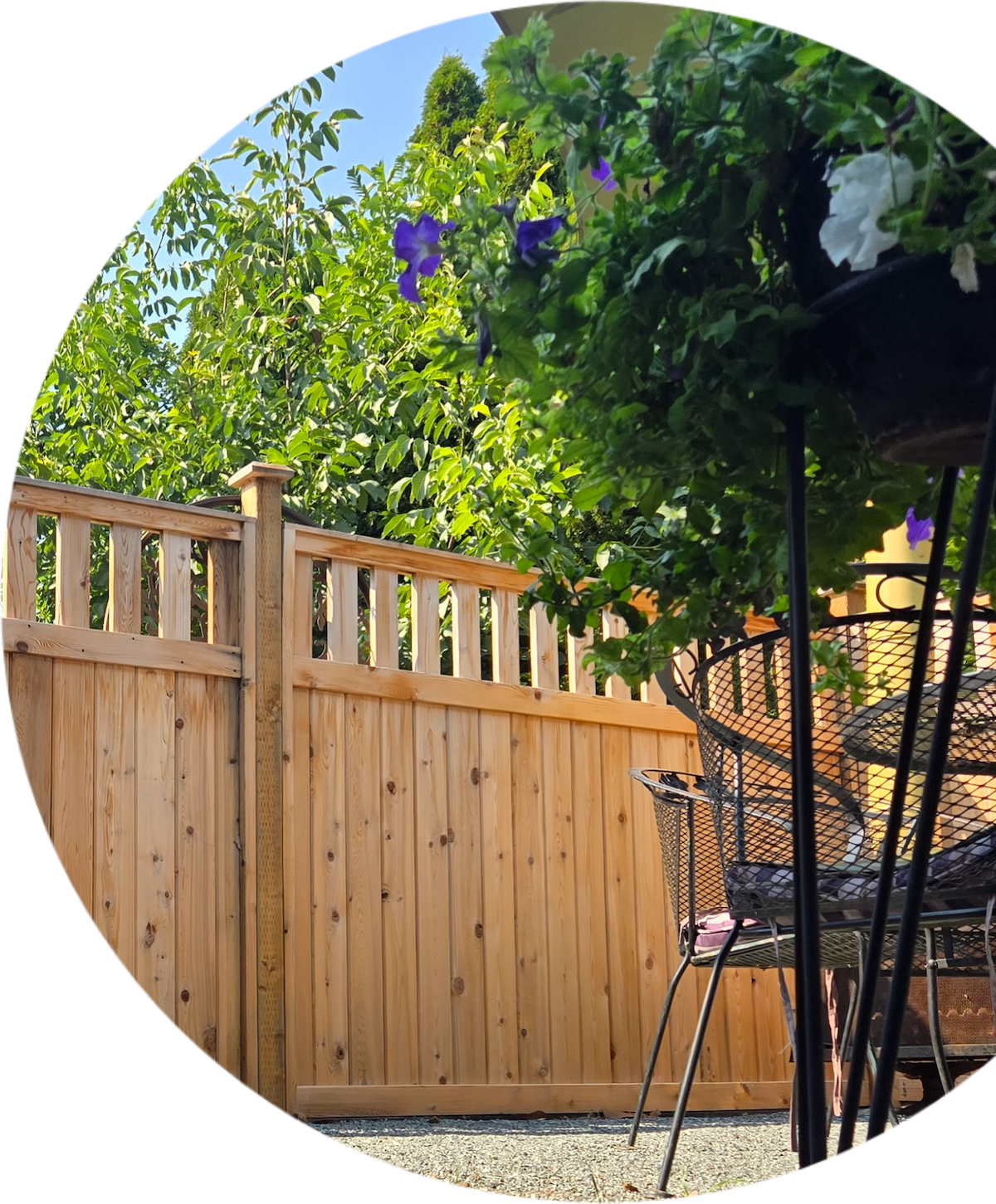 Under The Magnolia Tree - Guest suites for Rent in Duncan, British ...