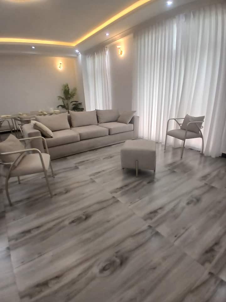 Comfortable Fully Furnished Appartment - アジス・アベバ