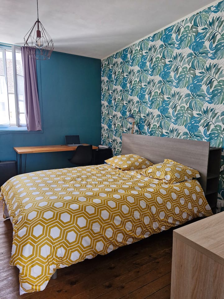 Appartement 2 Pièces Près Du Jardin Des Plantes - Angers