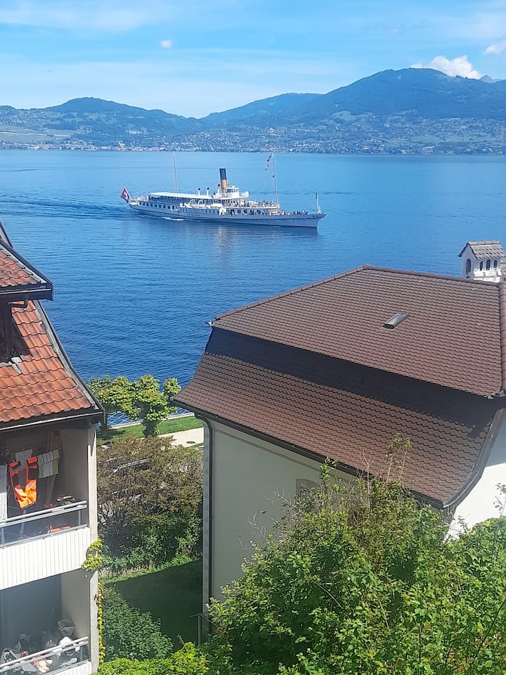 Charmant Appartement Avec Jardin Et Vue Sublime. - Vevey