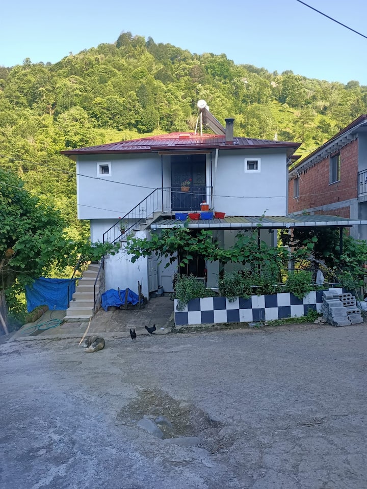 Fadime Ve Temel Konaklama - Rize