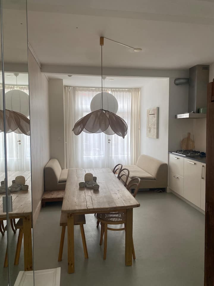 Kleine Woning In Centrum Van Haarlem - Haarlem