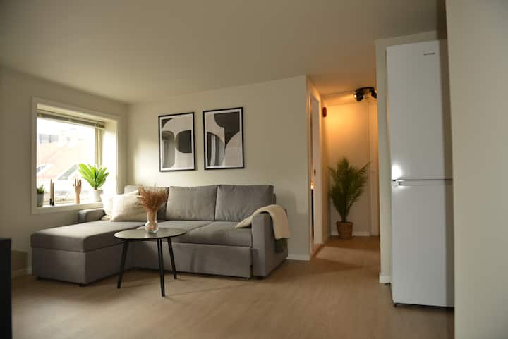 Koselig Leilighet I Hjerte Av Kristiansand - Kristiansand