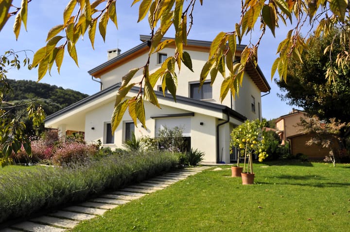 Giardino Di Lei, Appartamento Verde - Montegrotto Terme